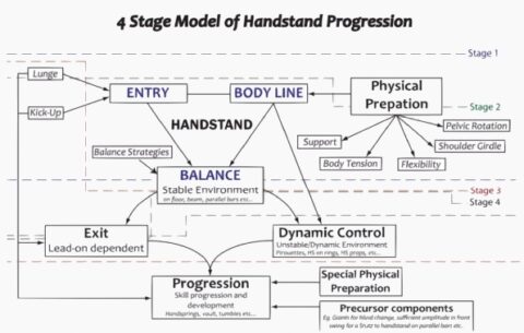 The Handstand: A Four Stage Training Model | The Academy