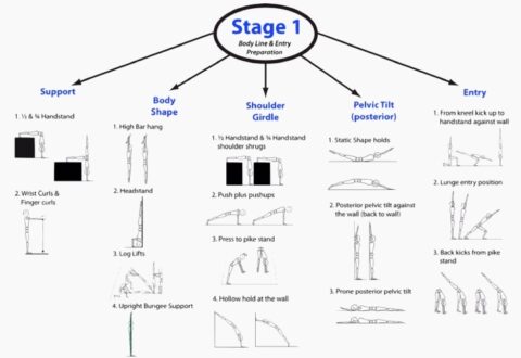 The Handstand: A Four Stage Training Model | The Academy