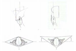 The Handstand: A Four Stage Training Model | The Academy
